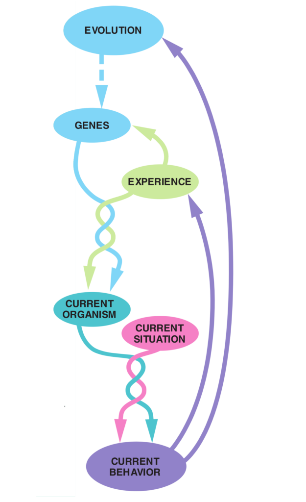 Fundamentals of Behavior | The Nature and Nurture of Cooperation